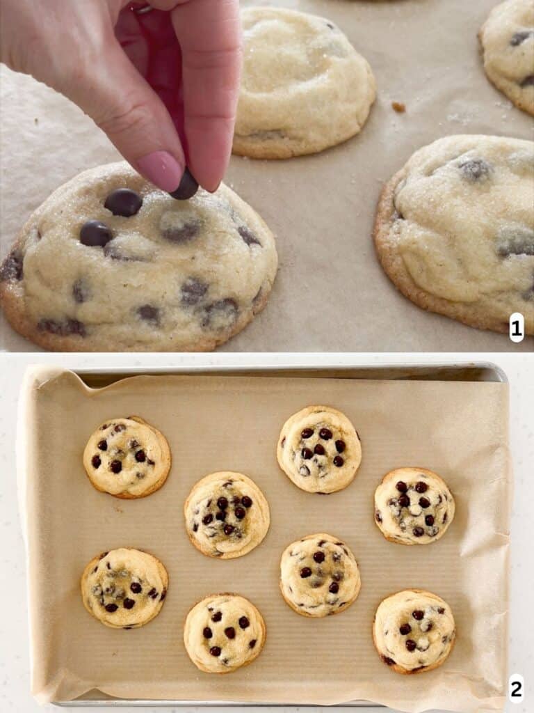 Chocolate Chip Sugar Cookies - Little Nonni