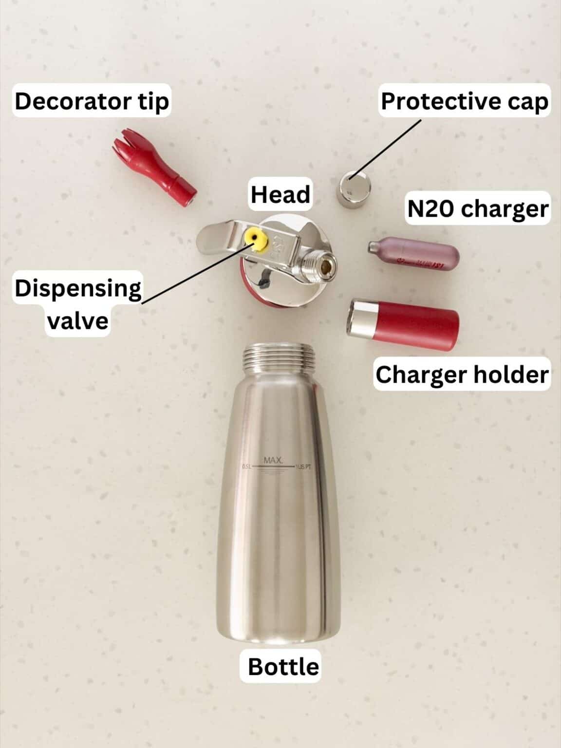 Whipped Cream Dispenser Recipe - Little Nonni