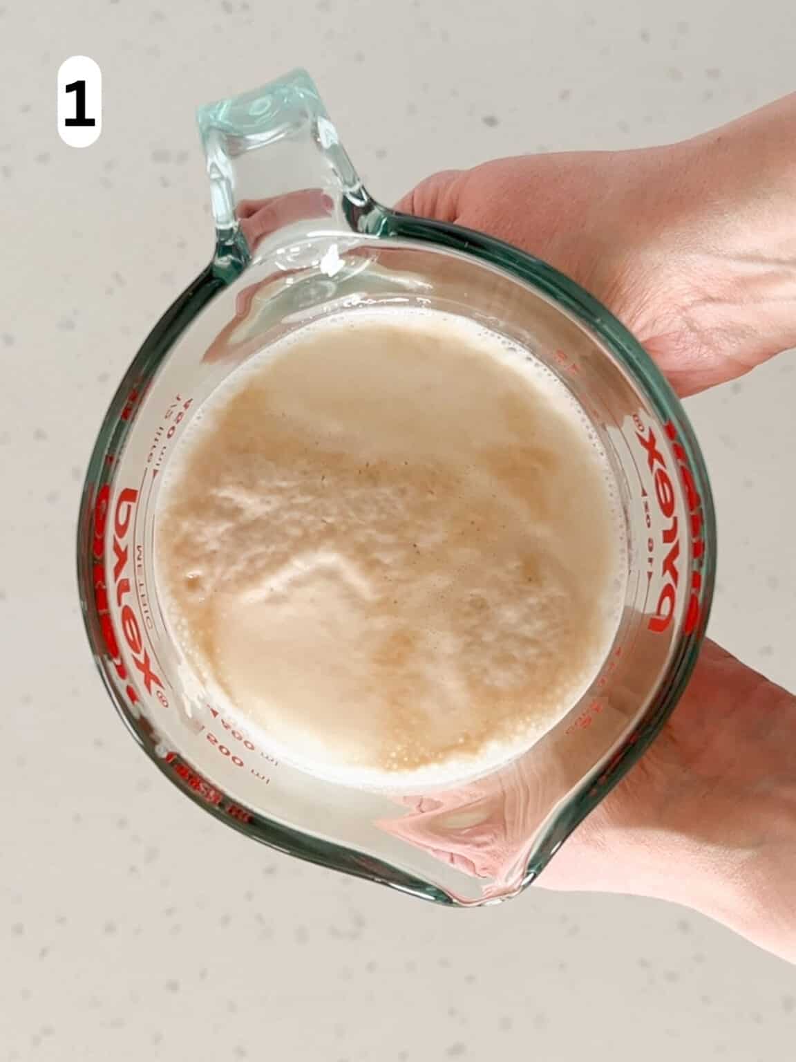 Italian Baguettes (Stirato) - Little Nonni